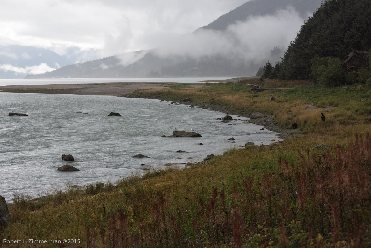 Chilkoot River Bears | Rainbow Glacier Adventures